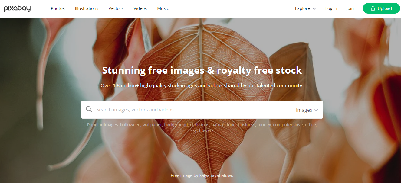 Copyright Free Images- 10 Best Free Stock Photos Websites - WebTech Spark